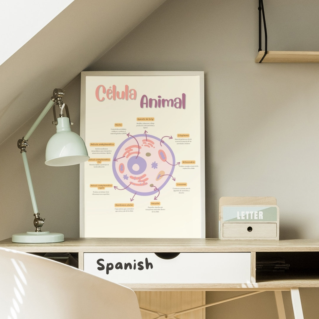 Animal Cell Poster in Spanish - Digital Download for Science Education ...