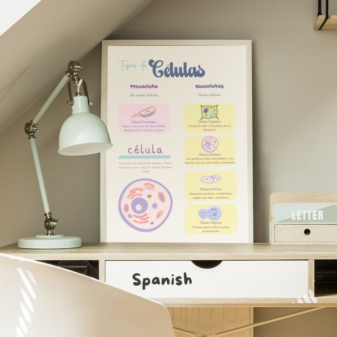 Educational Poster types of Cells in Spanish for Teaching Cell Biology ...