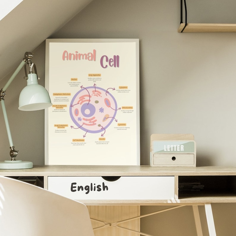 Animal Cell Poster in English, Secondary Education, Educational ...