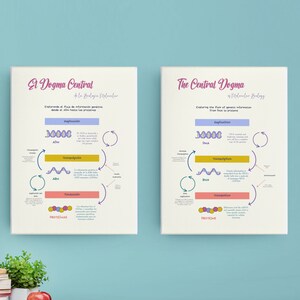Bilingual Poster Set "the Central Dogma of Molecular Biology" for ...