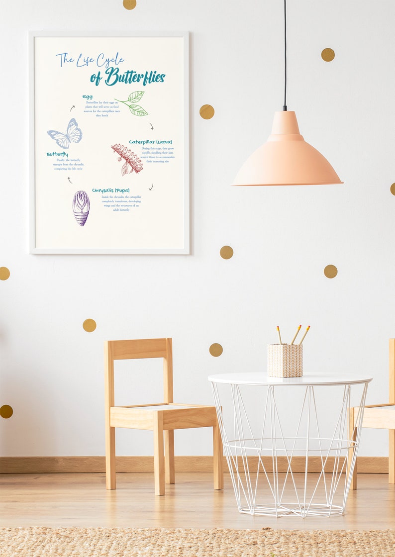 Butterfly Life Cycle Poster in English - Digital Download for Bilingual ...
