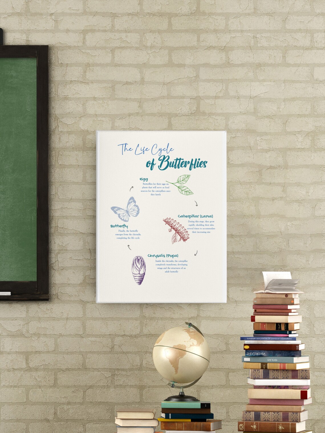 Butterfly Life Cycle Poster in English - Digital Download for Bilingual ...