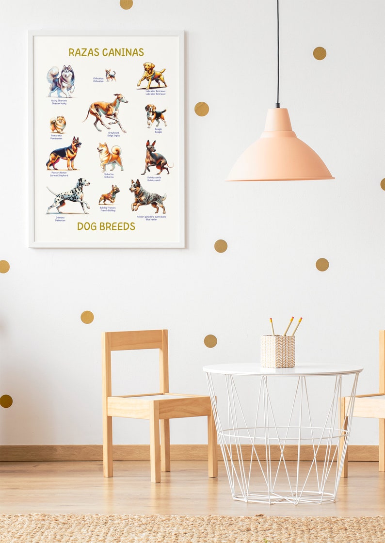 Bilingual Educational Posters on Dog Breeds, Classroom Decorations ...