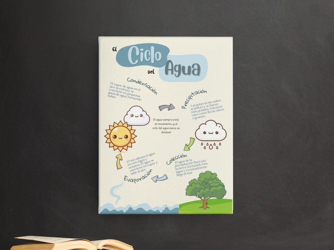 Educational Poster the Water Cycle in Spanish, Didactic Tool for ...