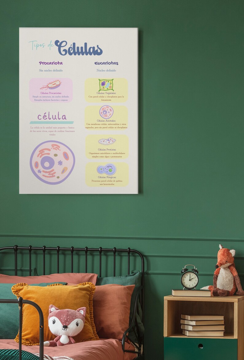 Educational Poster types of Cells in Spanish for Teaching Cell Biology ...
