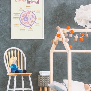 Animal Cell Poster in Spanish - Digital Download for Science Education ...