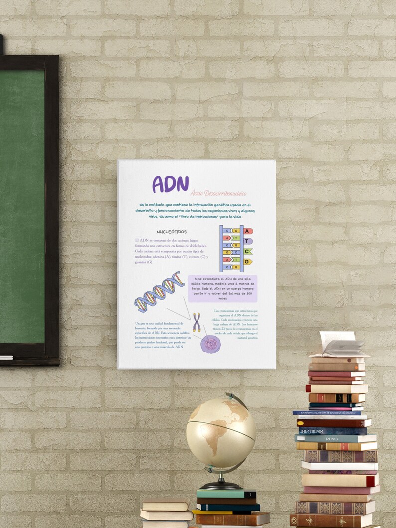 DNA Educational Poster in Spanish Ideal for Bilingual Classrooms ...