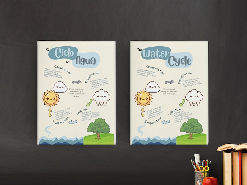 Bilingual Educational Poster of the Water Cycle in Spanish and English ...