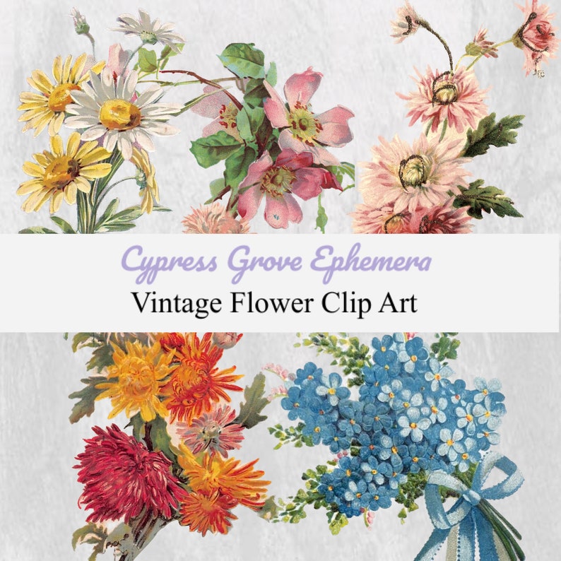 Floral Vintage Clip Art Collection Printable Antique Flower ...