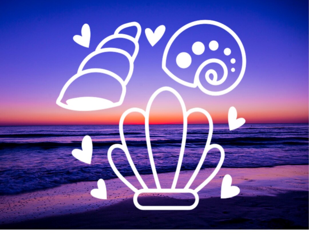 Decal - Three Seashells Vinyl Decal – Coastal Beach Sticker for Cars ...