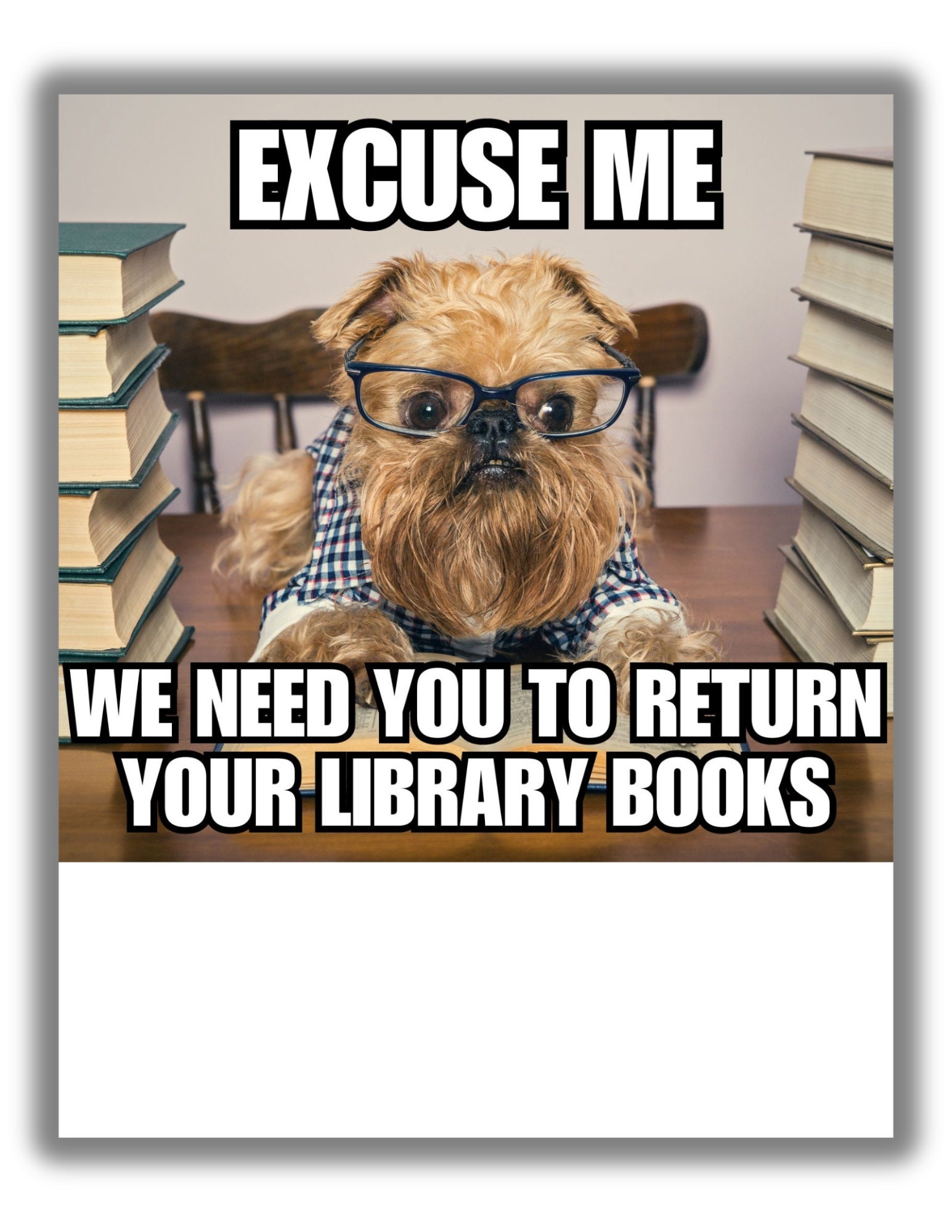 Return Library Book Memes Printable – Digital Download – Reusable ...