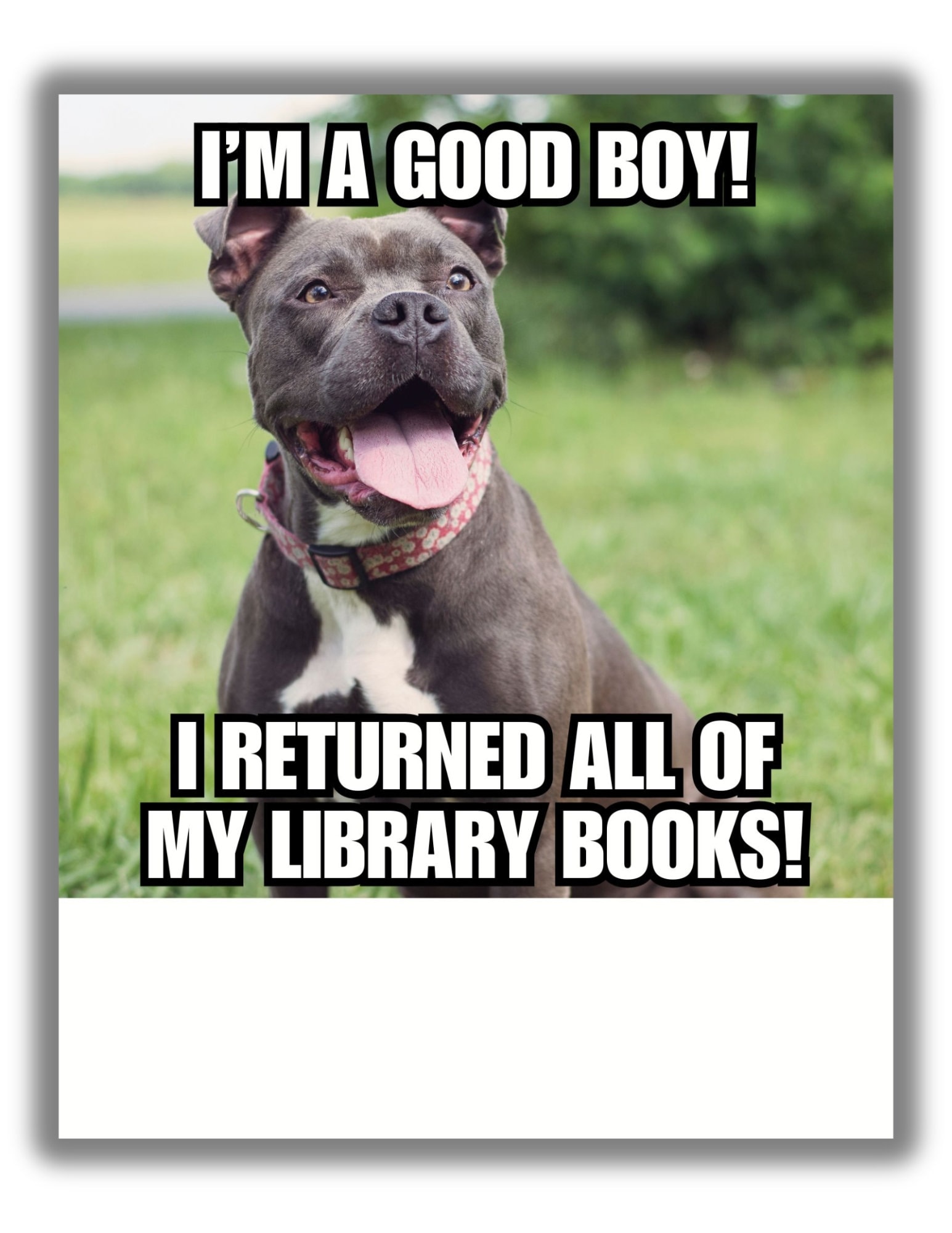 Return Library Book Memes Printable – Digital Download – Reusable ...