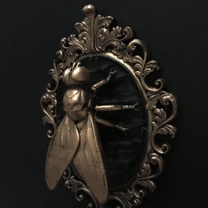 Gothic Frame Fly Dark Aesthetics - Etsy