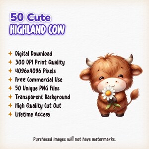Cute Highland Cow Clipart Bundle, 50 Baby Highland Cow PNG, Cow ...
