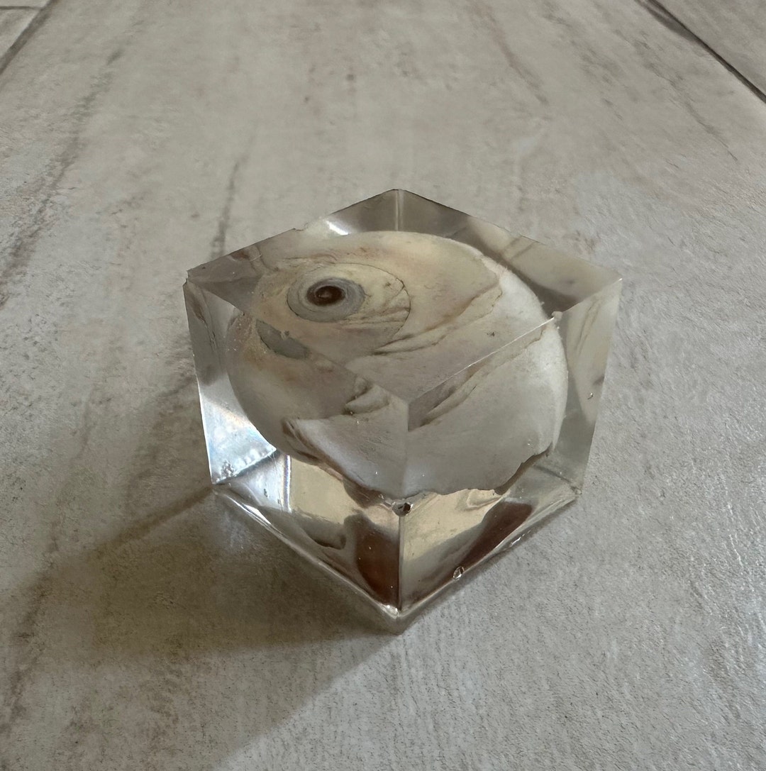 Sea Shell -epoxy Resin Cube - Etsy