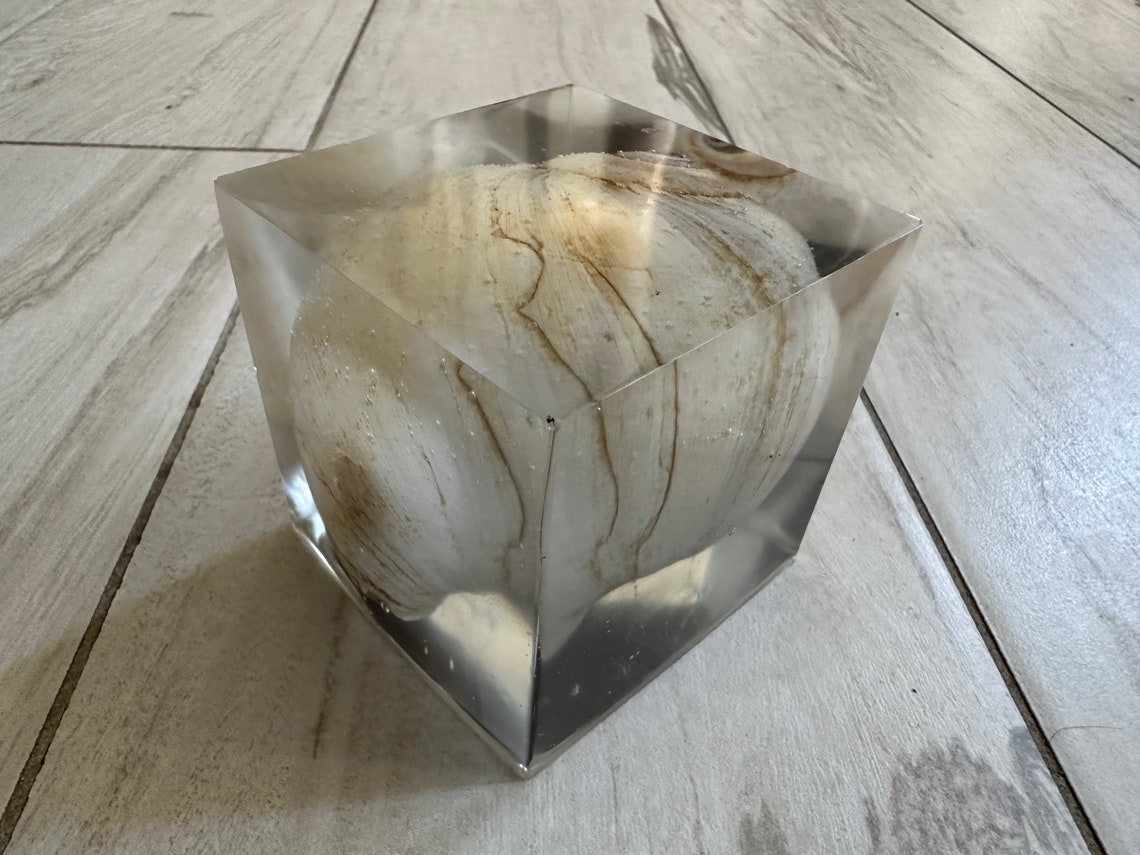 Large Sea Shell -epoxy/resin Cube - Etsy
