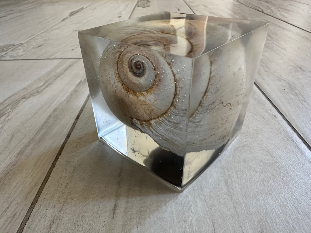 Large Sea Shell -epoxy/resin Cube - Etsy