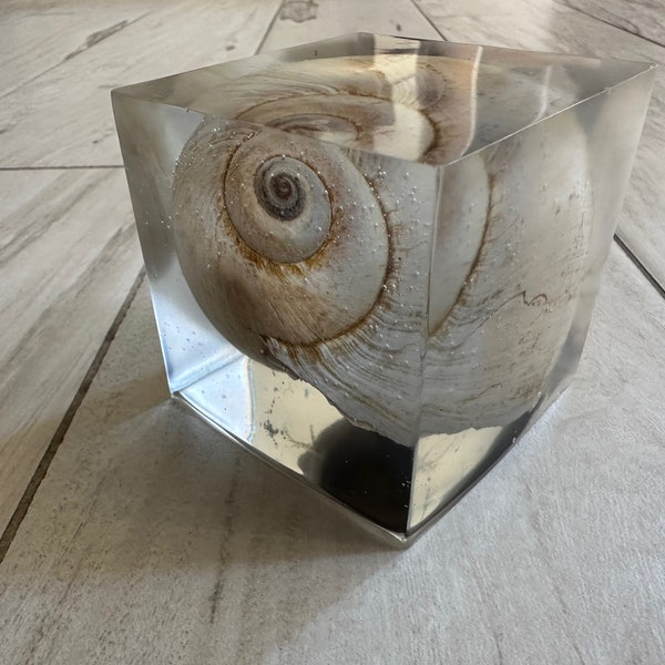 Sea Shell Resin Art - Etsy