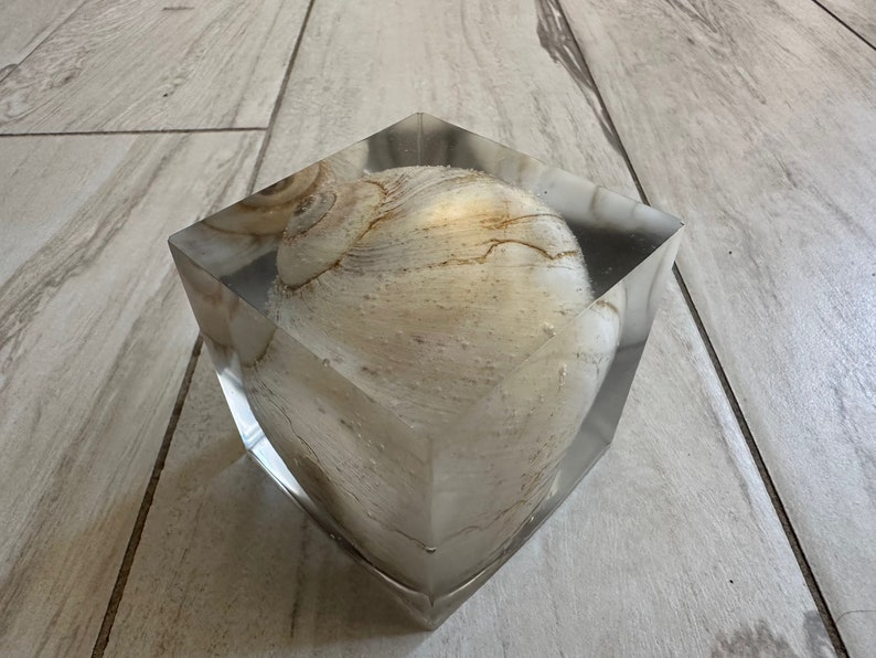 Large Sea Shell -epoxy/resin Cube - Etsy