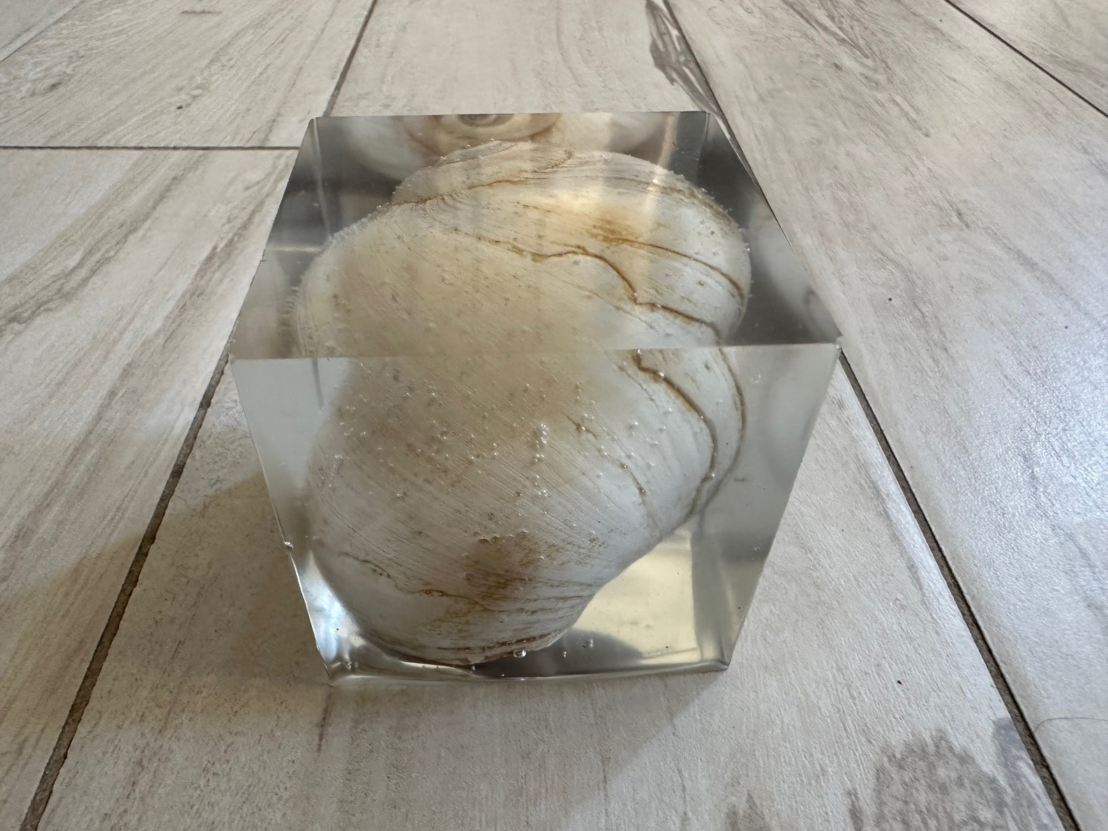 Large Sea Shell -epoxy/resin Cube - Etsy