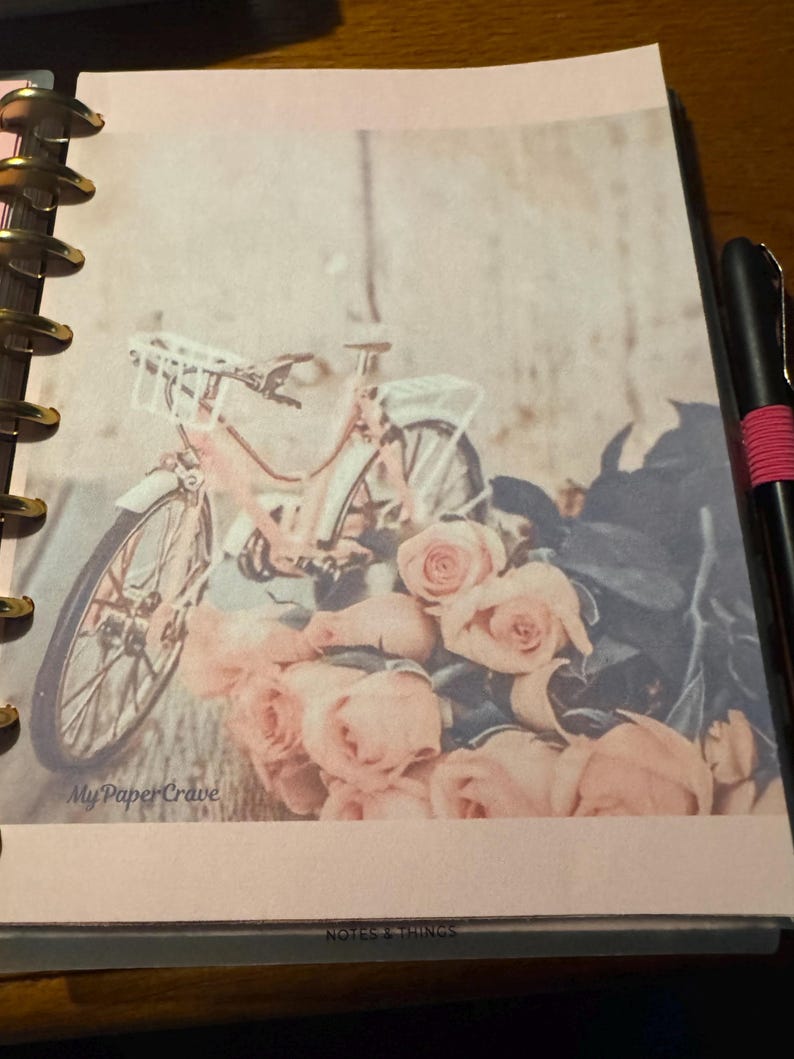 Vintage Bicycle and Pink Roses Dashboard for Happy Planner Classic ...