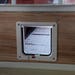 Custom Cat Door for Window - Etsy