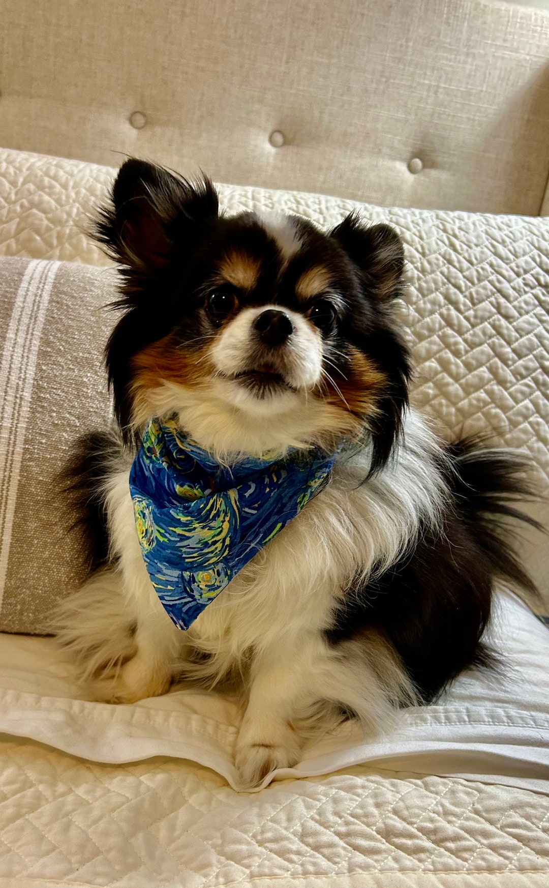 Starry Night Dog Bandana Swirl Dog Bandana Star Dog Bandana Dog Bandana ...