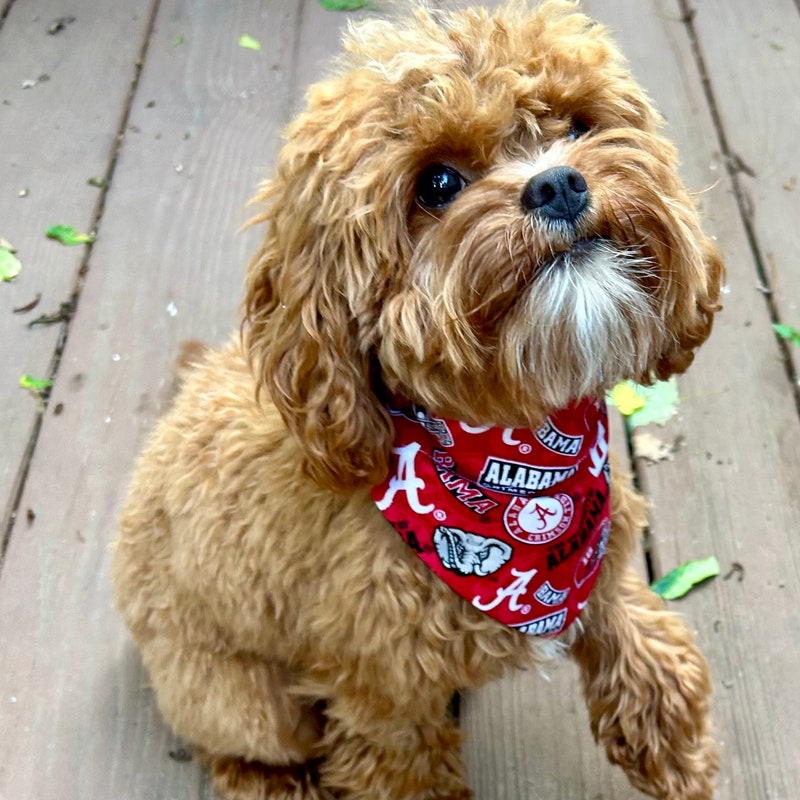 Alabama Scarf - Etsy