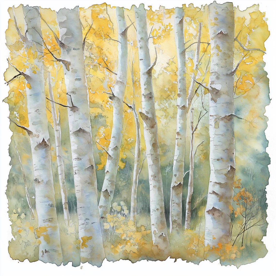Aspen, Colorado Mountain Trees Watercolor 10x10 Digital Download for ...