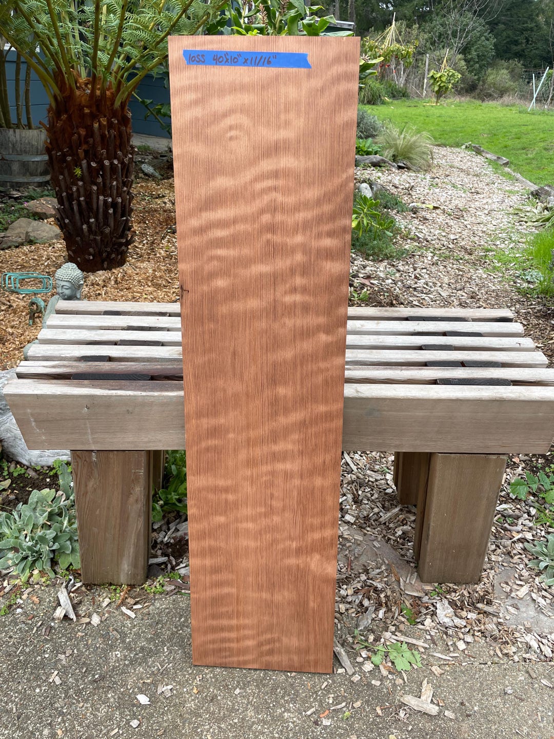 Stunning! Curly Redwood Board! Incredibly Rare, Old Growth Redwood ...