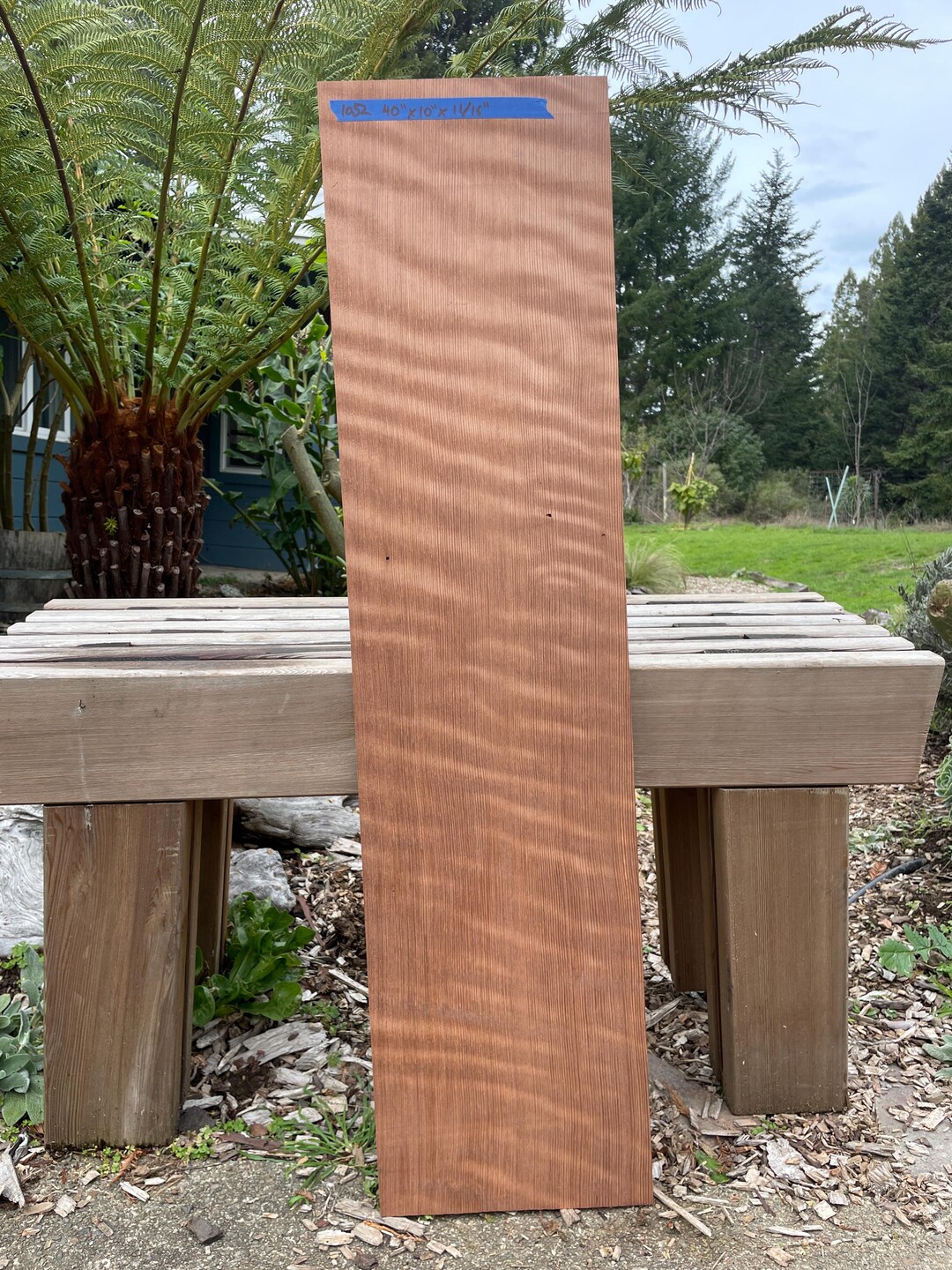 Stunning Curly Redwood Board Incredibly Rare, Old Growth Redwood Board ...
