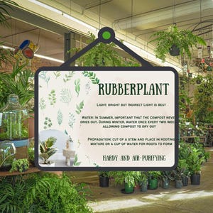 10 Digital Posters for Housplant Shop POS Signs - Etsy