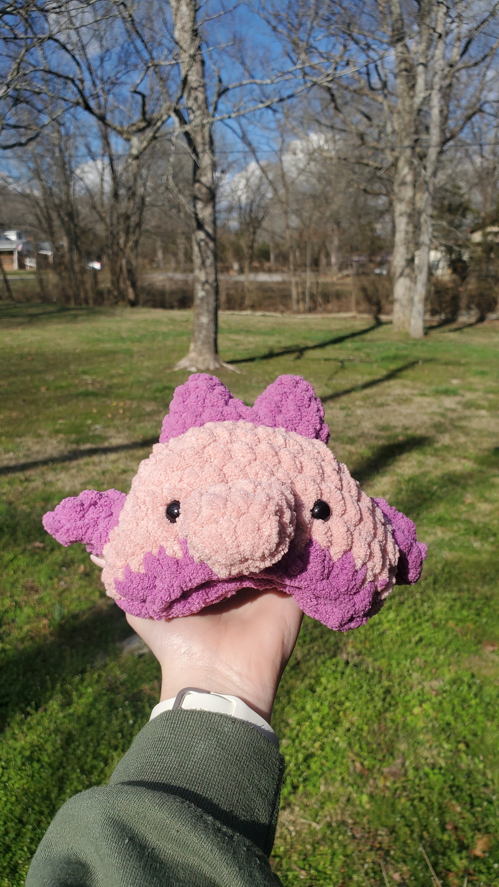 Crochet Blobfish Plush - Etsy