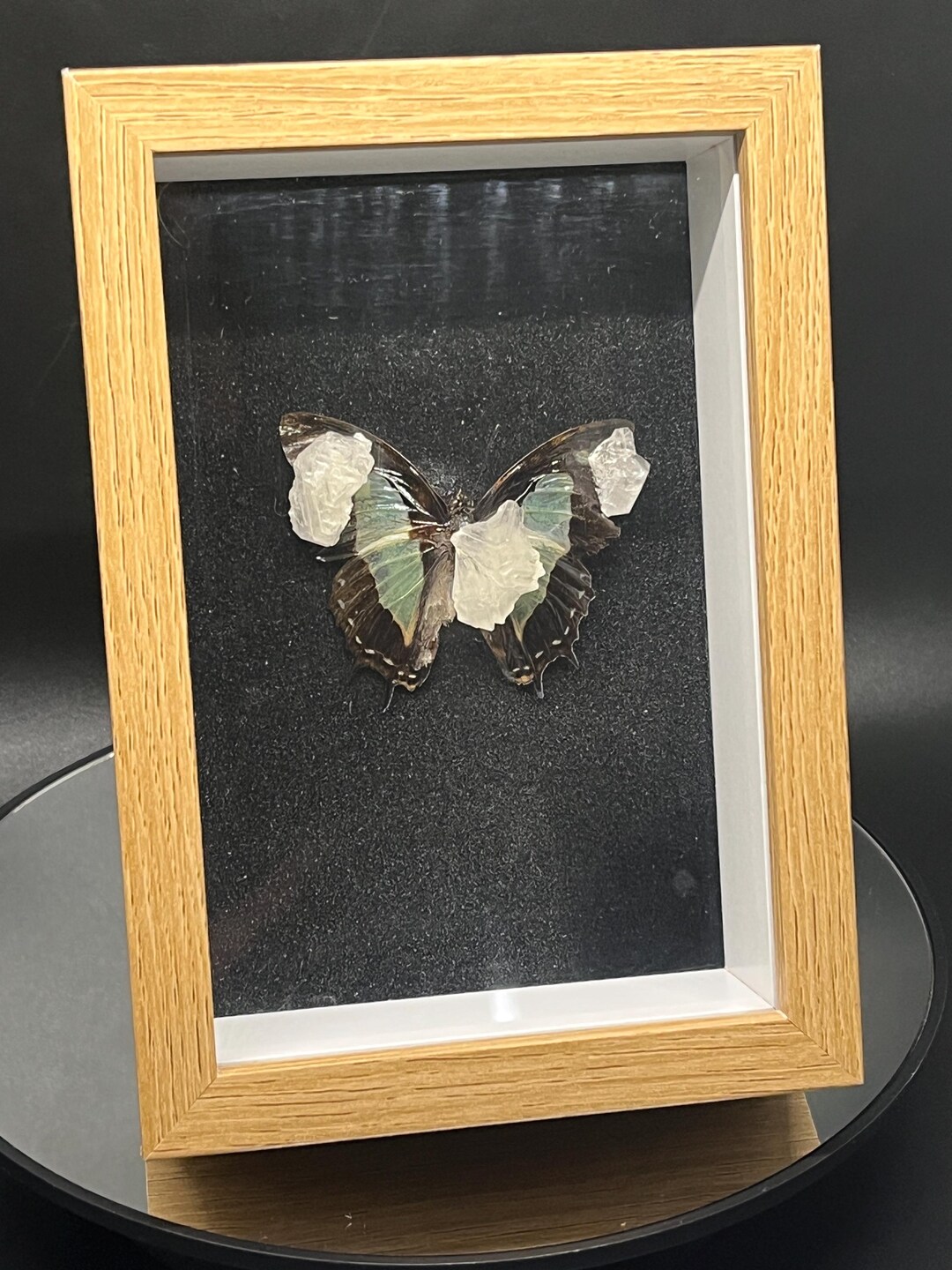 Crystallized Butterfly in Shadow Box Frame - Etsy