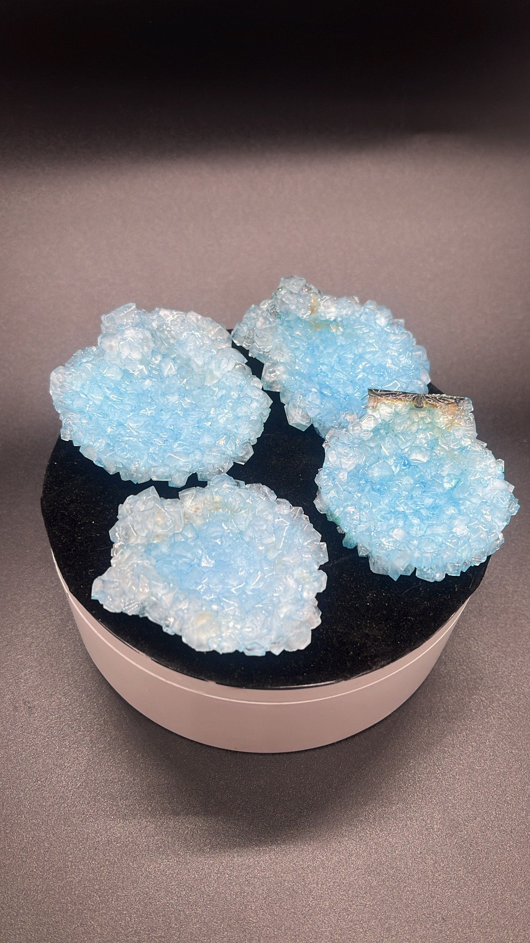 Crystallized Clam Shell Lot - Etsy