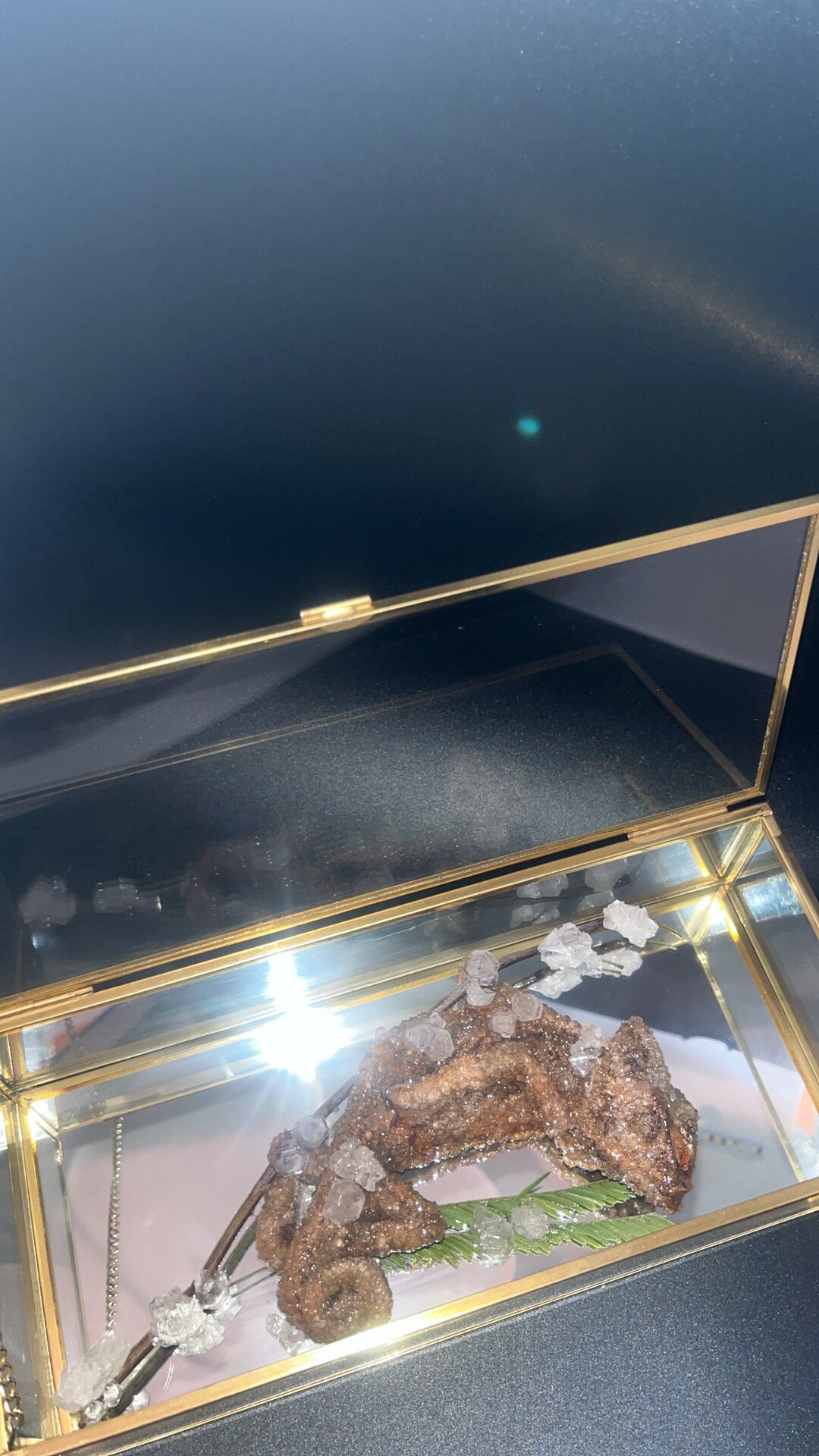 Crystallized Veiled Chameleon and Branch in Glass Display Case - Etsy