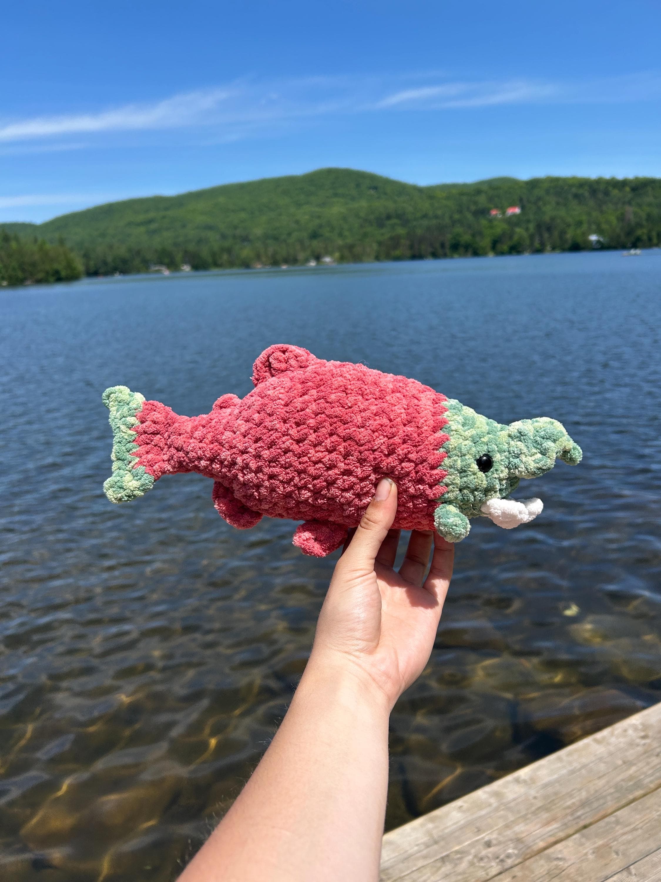 No-sew Crochet Salmon PDF Pattern| Intermediate US Crochet Pattern| DIY ...