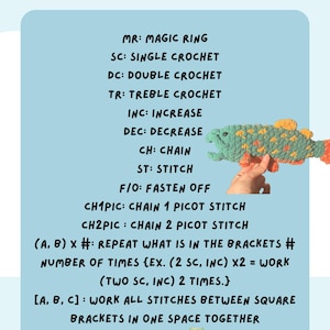 No-sew Crochet Trout PDF Pattern| Intermediate US Crochet Pattern| DIY ...