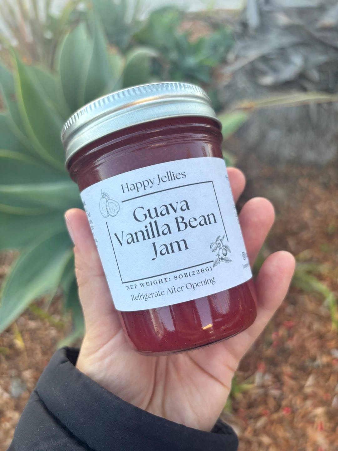 Guava Vanilla Bean Jelly - Etsy