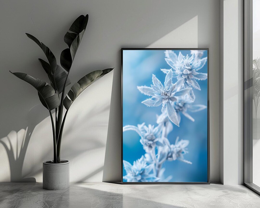Edelweiss Poster Flower Poster Nature Poster Alps Poster Colorful ...