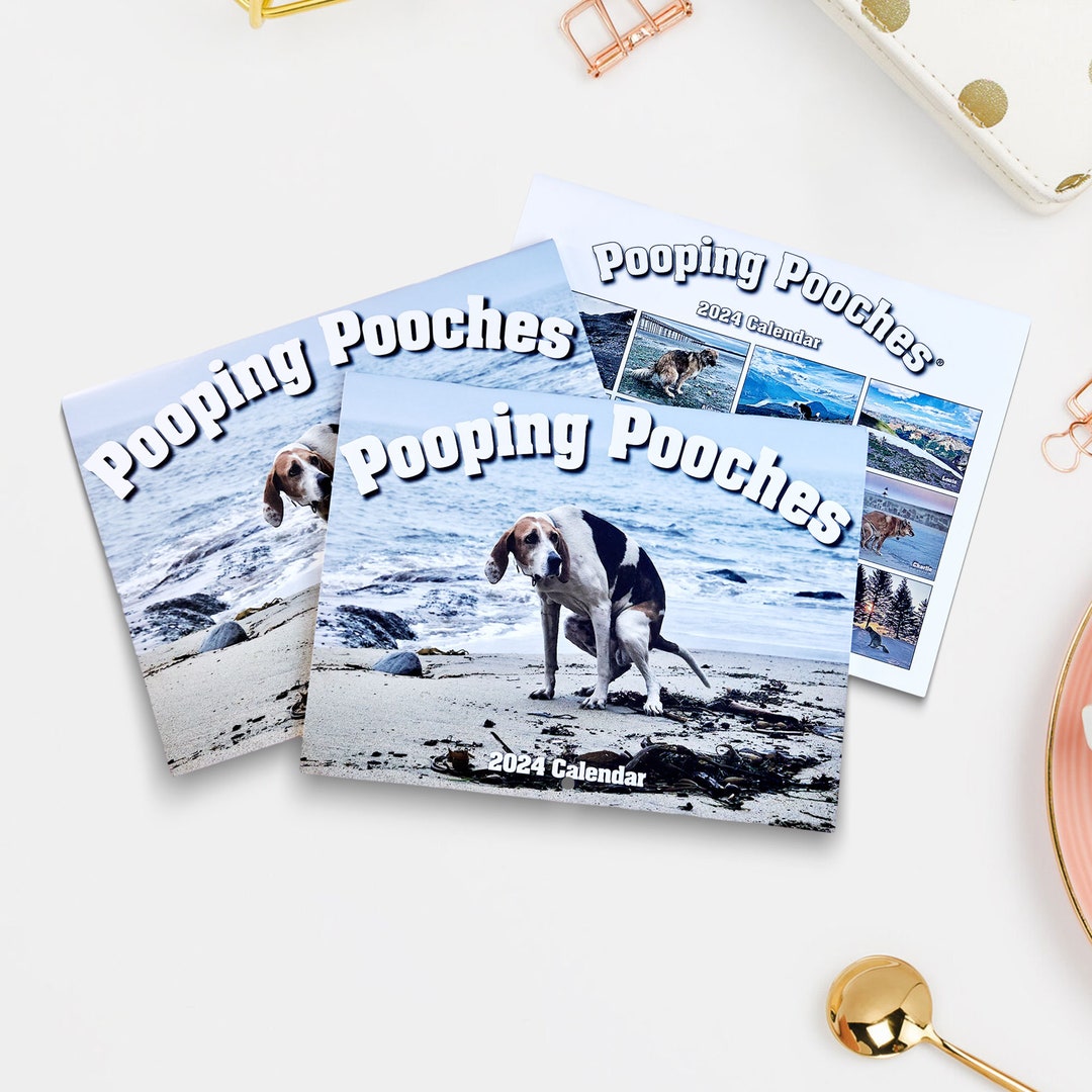 Handmade Mini 2024 Pooches Pooping Dog Calendar a Funny and Cute Gift ...