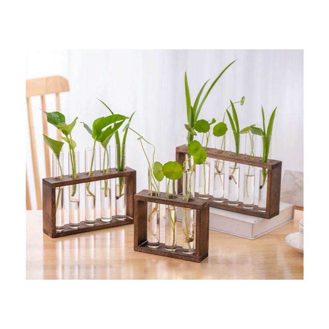Wooden Glass Test Tube Flower Vases - Etsy