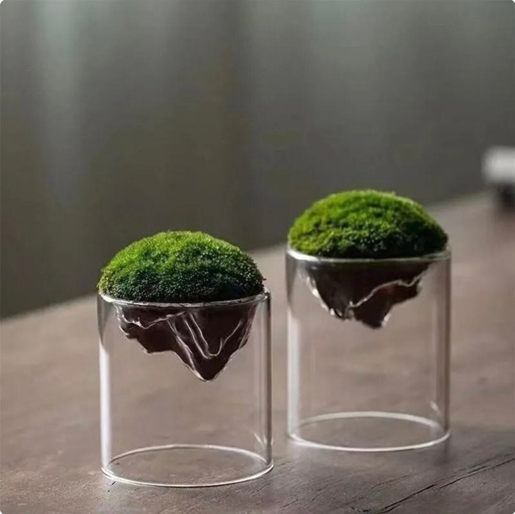 Mountain Shaped Moss Vase - Etsy