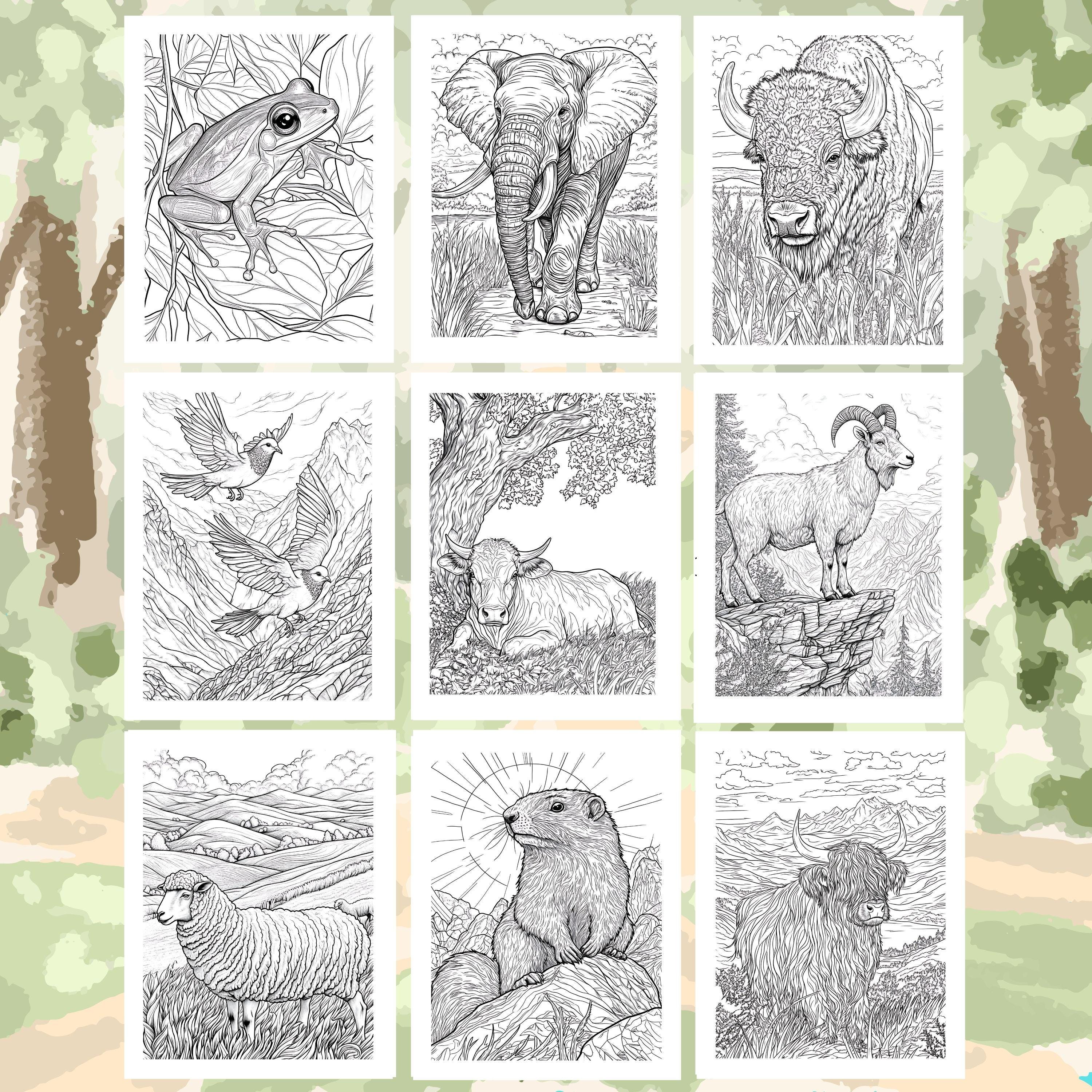 30 Forest Animal Coloring Adults and Kids Printable Color Sheets ...