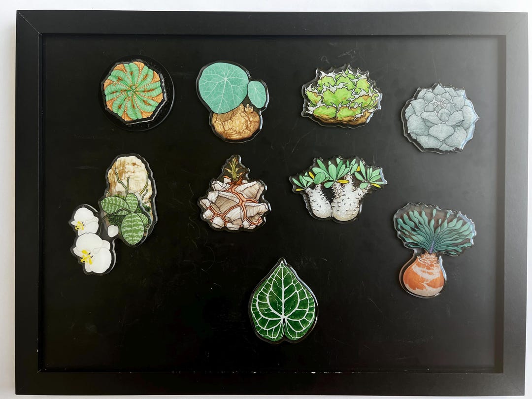 Plant Fridge Magnet Series - Etsy