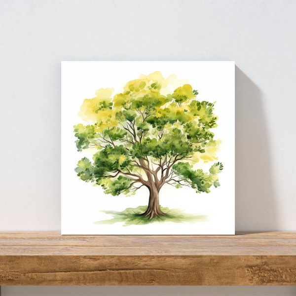 Elm Tree - Etsy
