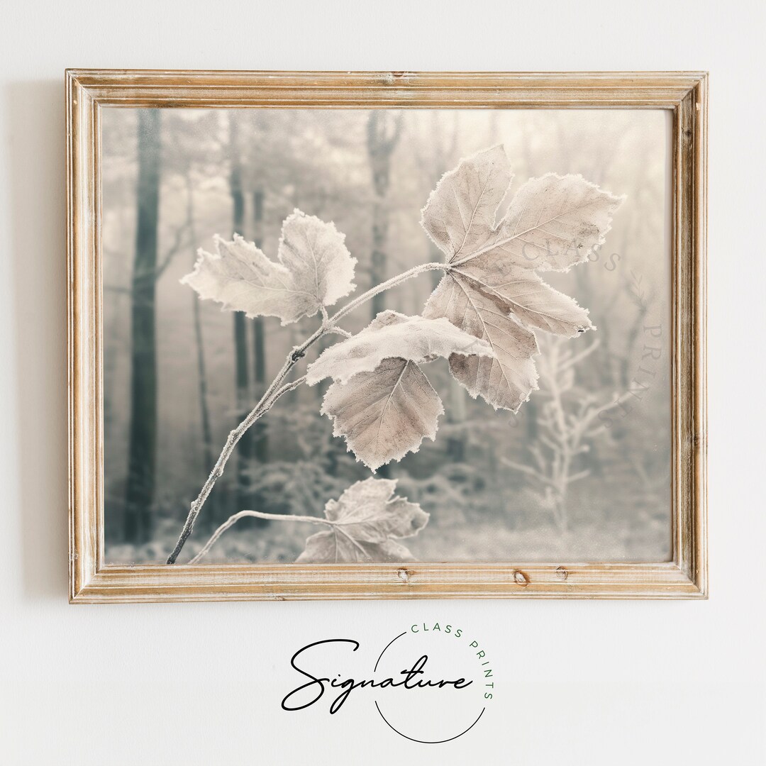Printable Frost-covered Leaves in a Forest Clearing Sketch Intricate ...