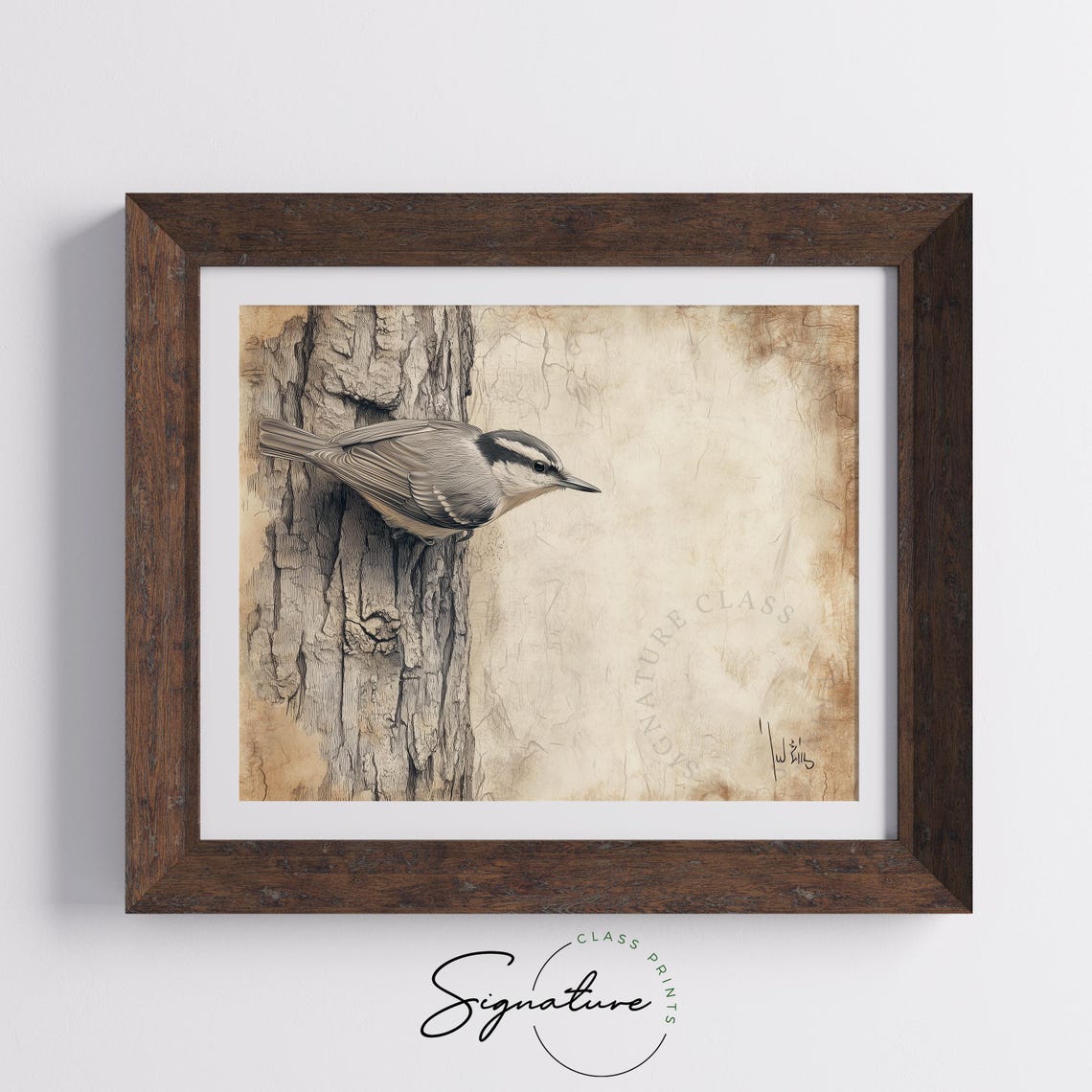 Nuthatch Climbing Tree Printable Sketch - Rustic Vintage Bird ...