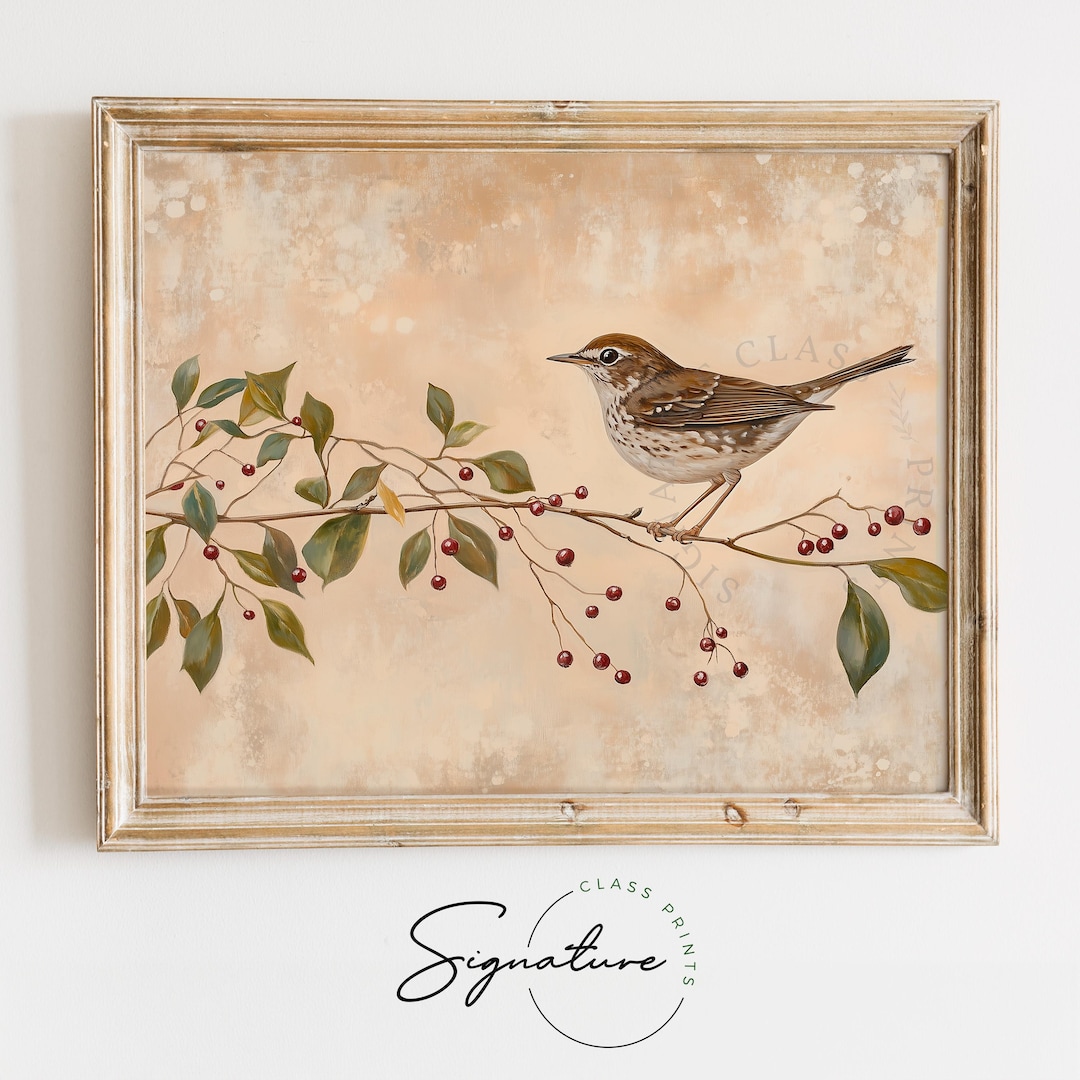 Hermit Thrush on Mistletoe Branch - Rustic Winter Bird Art, Vintage ...