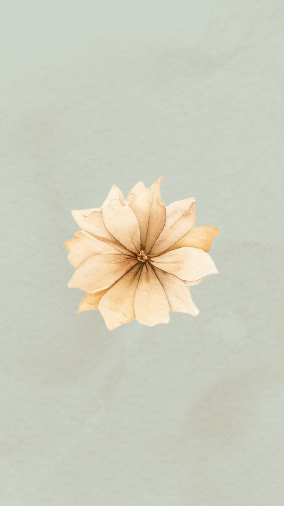 Nature Instagram Story Highlight Icons Nature Icons Boho Instagram ...